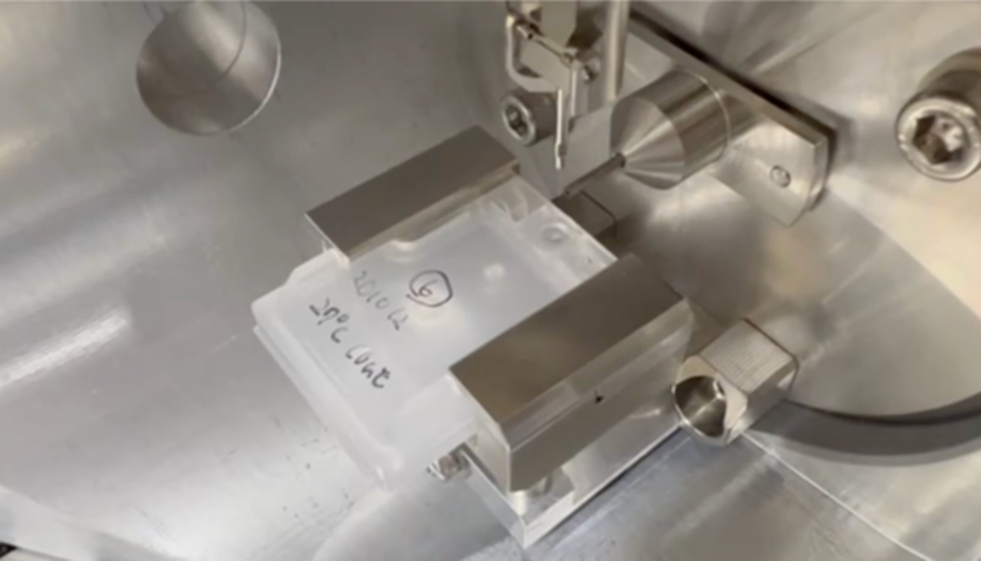 たった一つのサンゴポリプで代謝物解析が可能に サンゴを調べる新たな評価手法の確立に成功 | ニュース | 株式会社コーセー 企業情報サイト